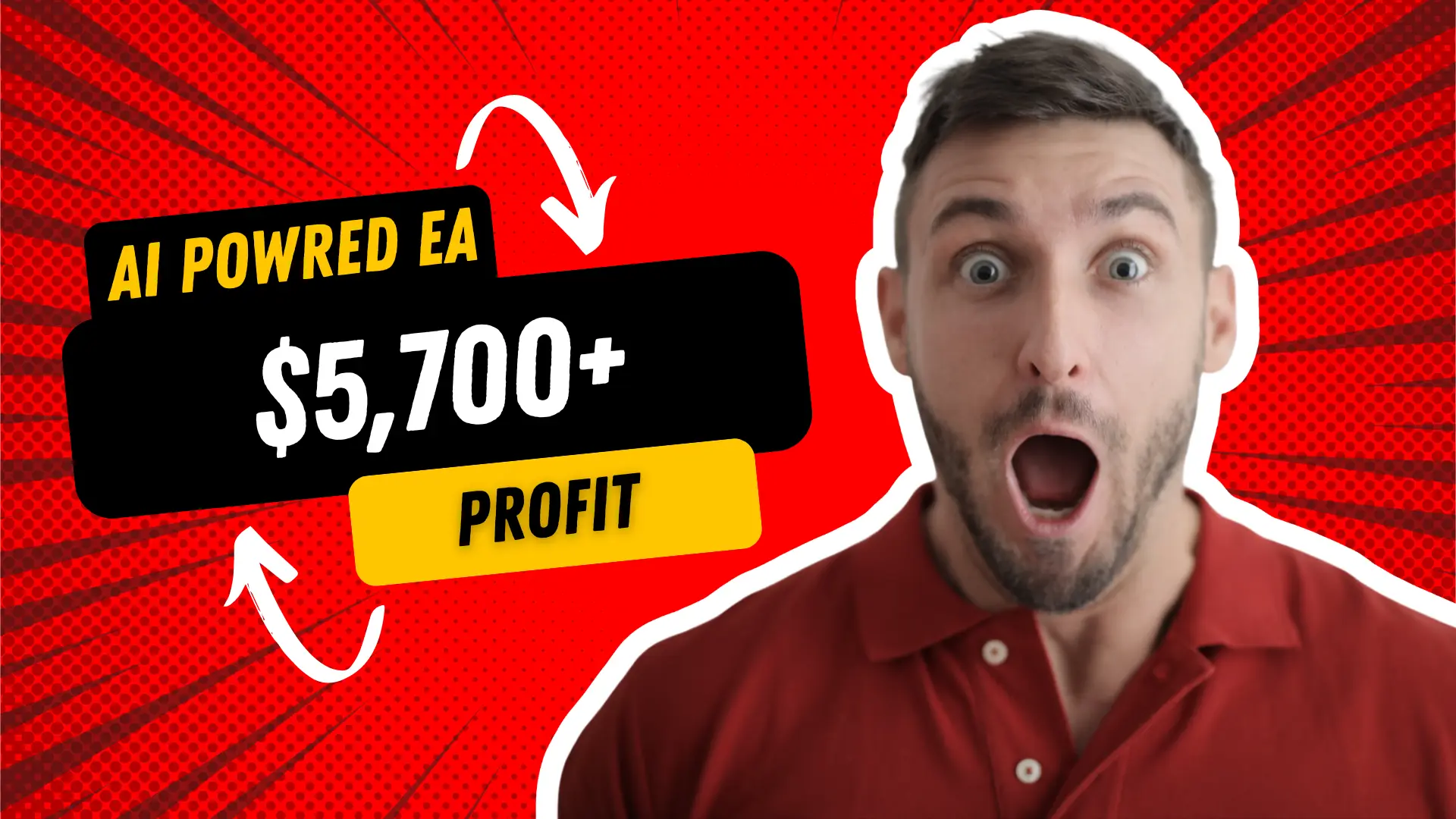 Monarchal Solutions – Let The Powerful Algorithms Work For You